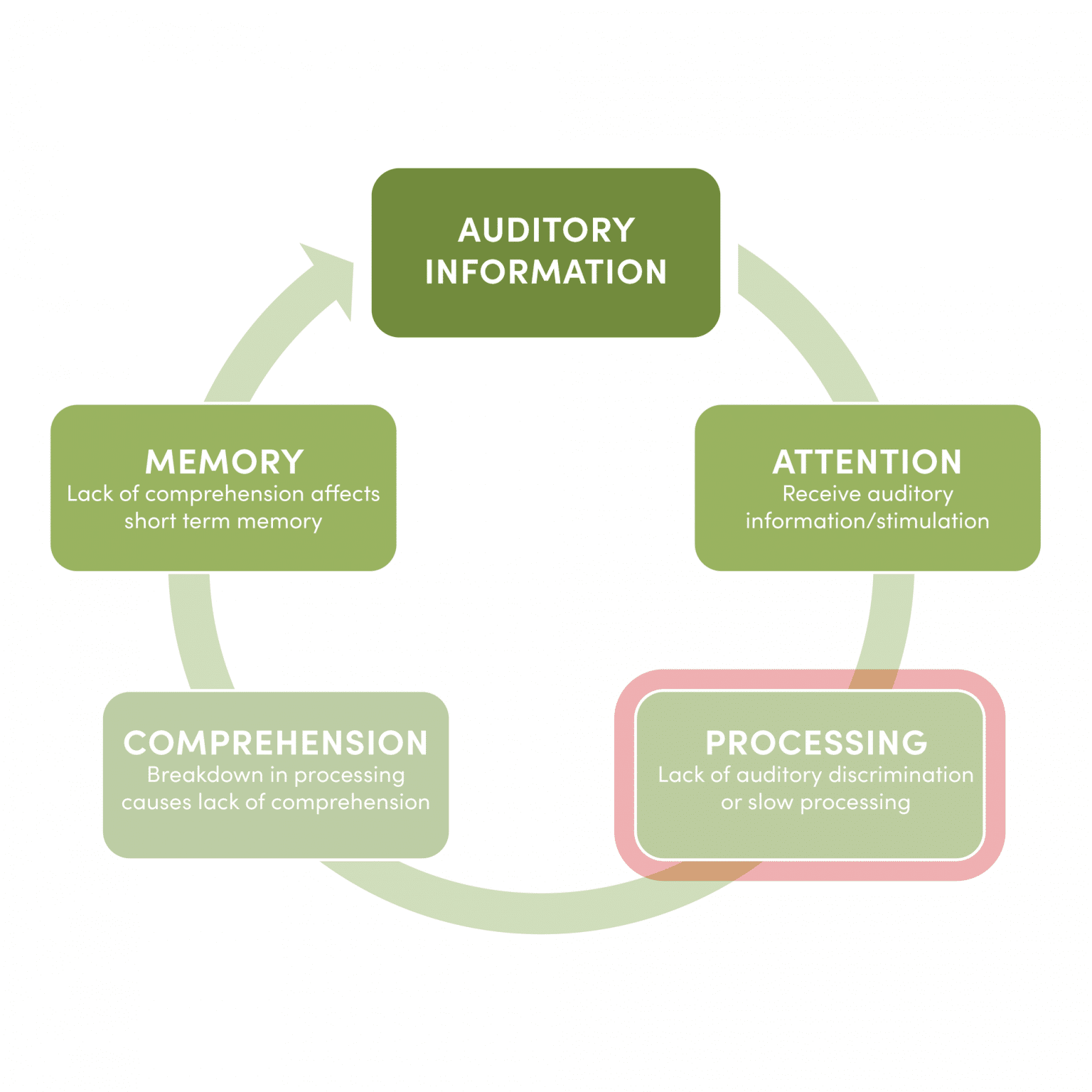 Auditory Processing Evaluations | Speech & Hearing Associates
