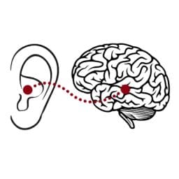 Auditory Training | Speech & Hearing Associates